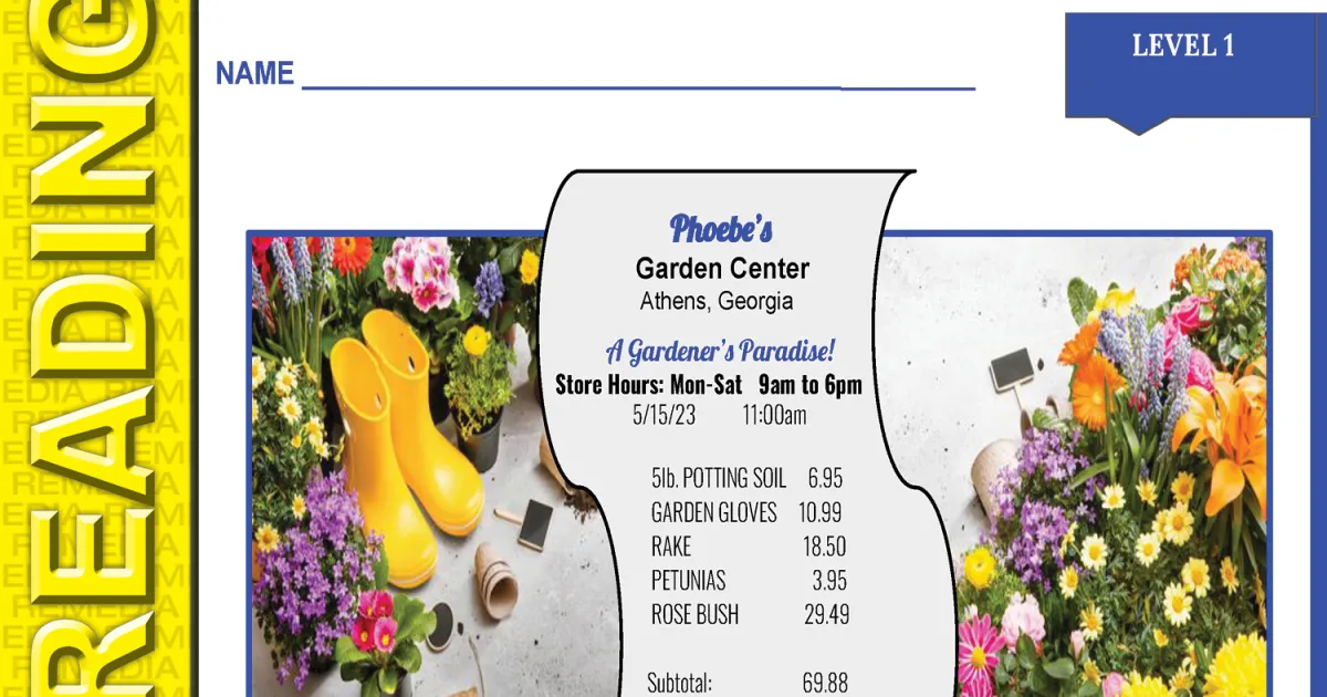 FREE! Reading Receipts: Real World - Daily Life Skills - Activities